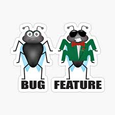 Bug vs feature